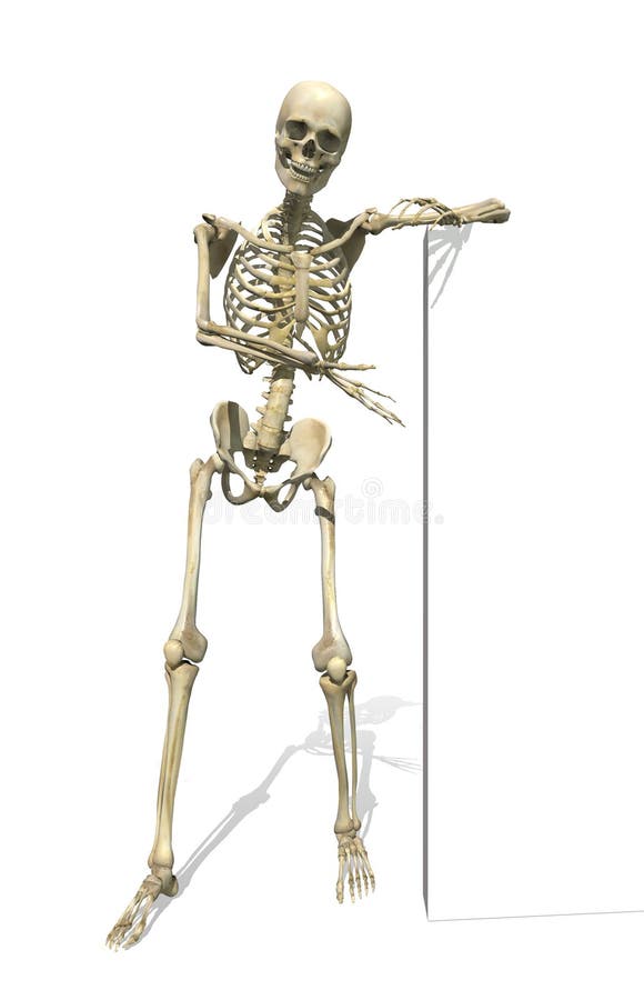 Skeleton Standing beside Sign or Border Stock Illustration ...