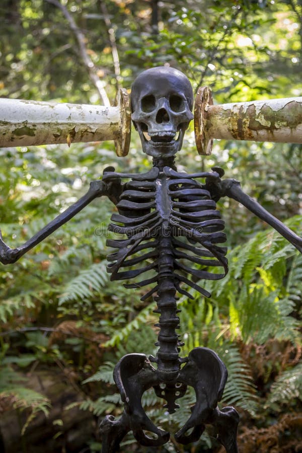 Skeleton Statue with Listening Posts Stock Image - Image of bones ...