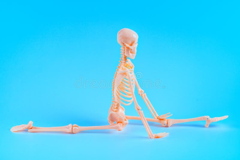 Skeleton in Stretching Pose Isolated on Blue Background Stock Image ...