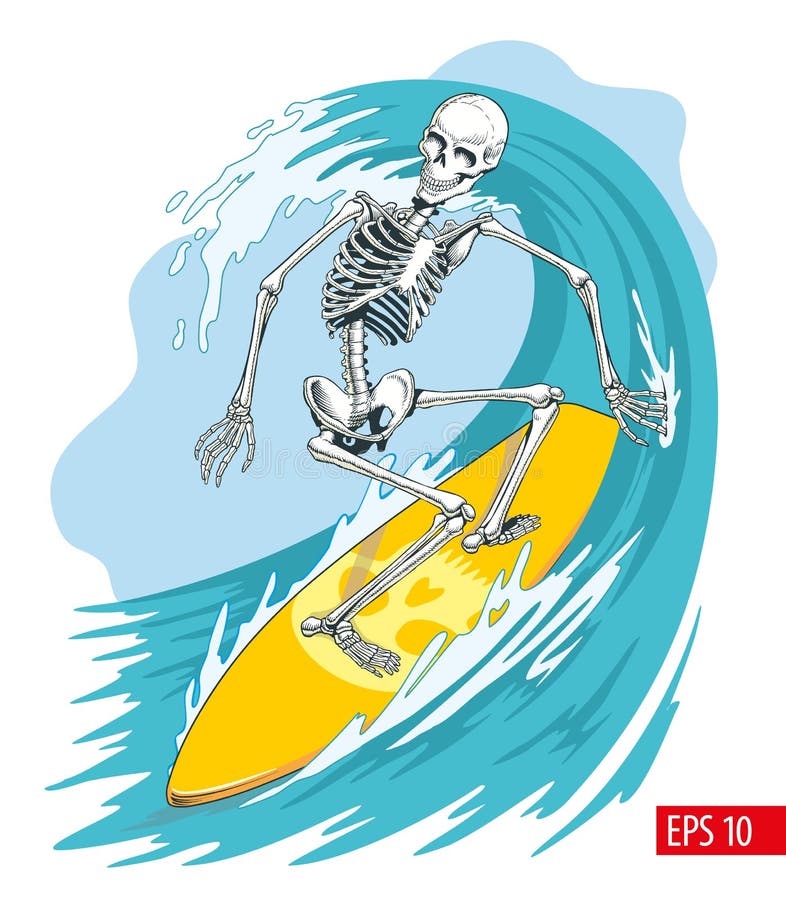 Skeleton Surfer Vector Art. Stock Vector - Illustration of exotic ...