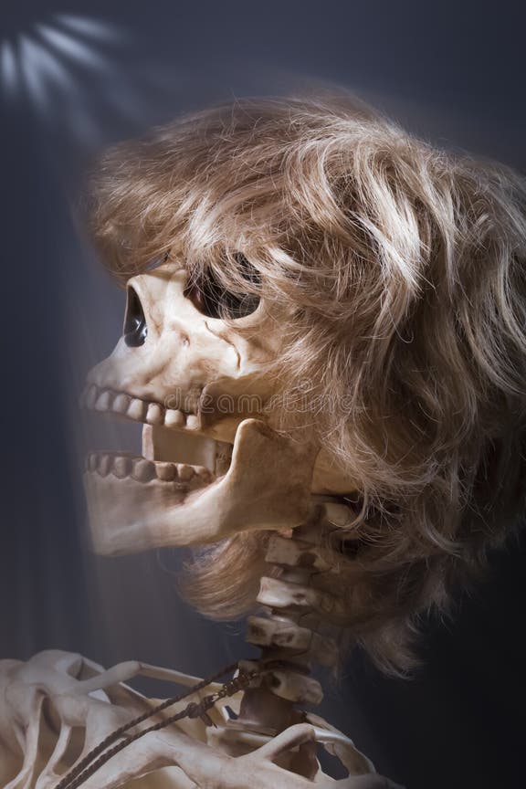Skeleton Surprise stock photo. Image of teeth, fear, holidays - 33650008