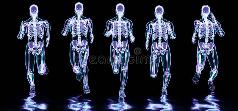 Skeleton System of Running Man, Bone Anatomy while Run, Running Man ...