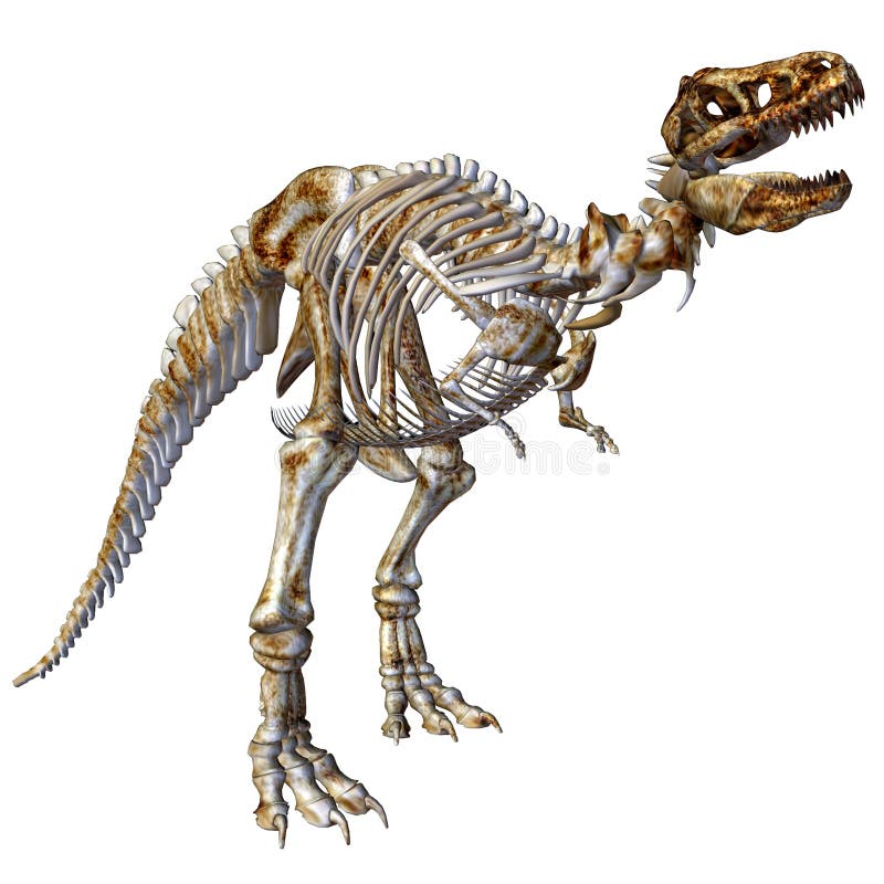 T-Rex Full Skeleton in Dynamic Pose. 3D Illustration Stock Illustration ...