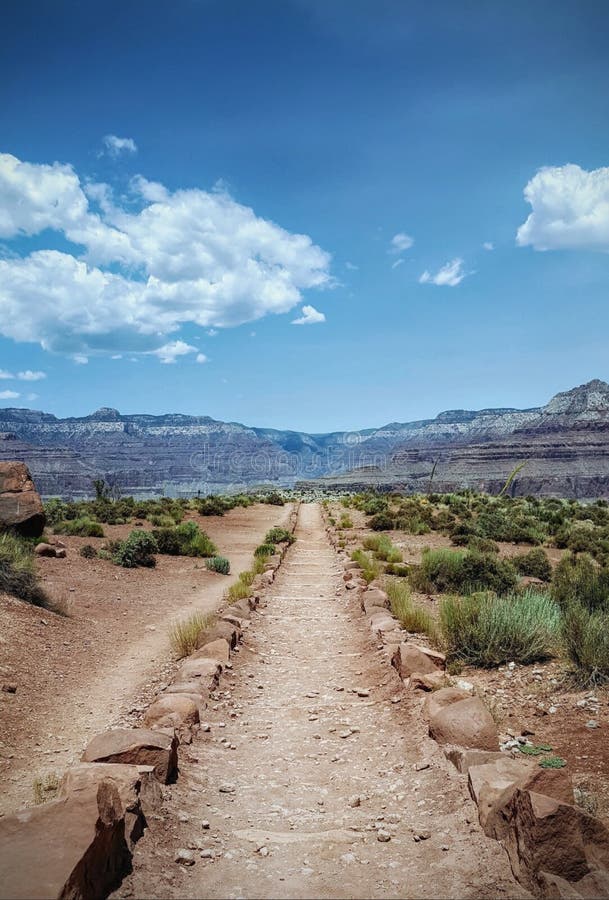 Skeleton trail stock image. Image of grand, skeleton - 136745095