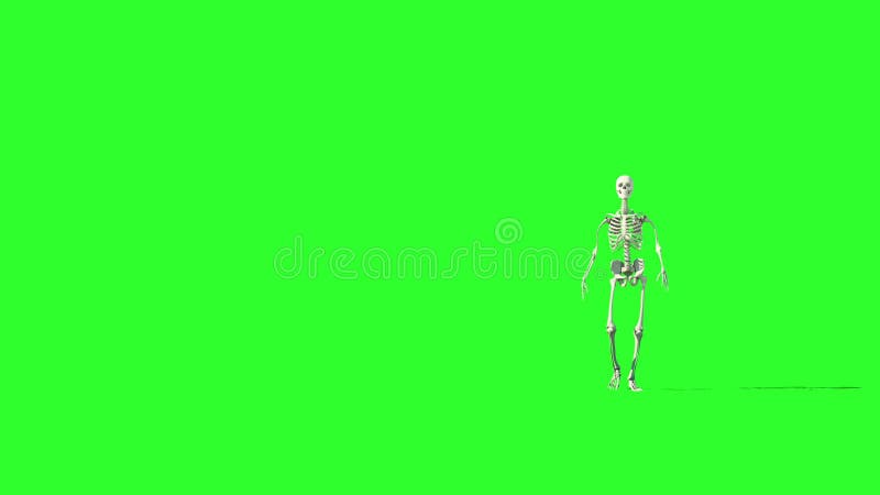Crazy Skeleton Funny Dancing. GI Render. Green Screen Footage Stock ...