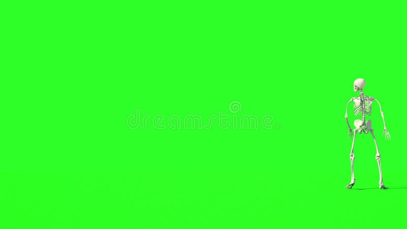 Crazy Skeleton Funny Dancing. GI Render. Green Screen Footage Stock ...