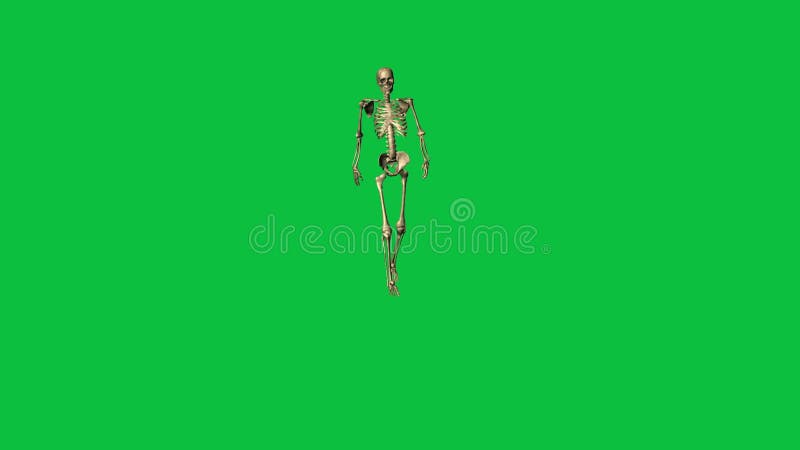 Skeleton Walking - Separate on Green Screen Stock Video - Video of ...