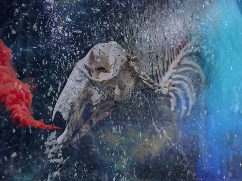 Skeleton on a wall stock image. Image of mythology, underwater - 230948145