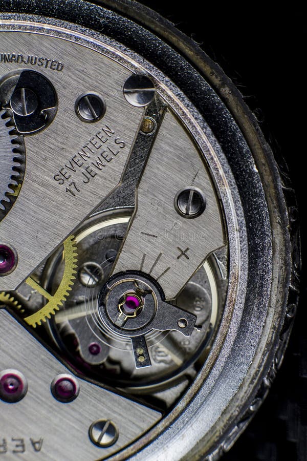 Skeleton watch. stock photo. Image of detail, skeleton - 55269454