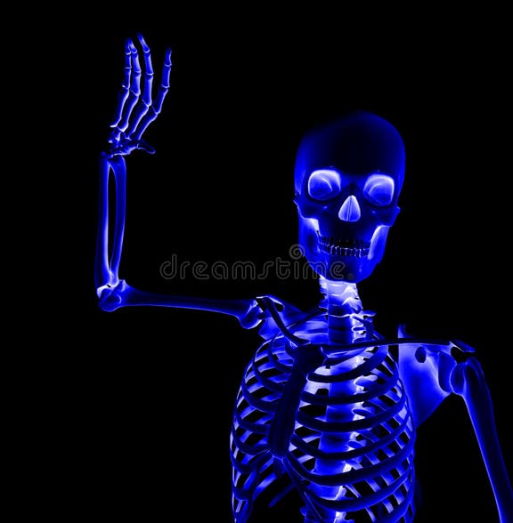 Skeleton Waving stock illustration. Illustration of healthcare - 11706870