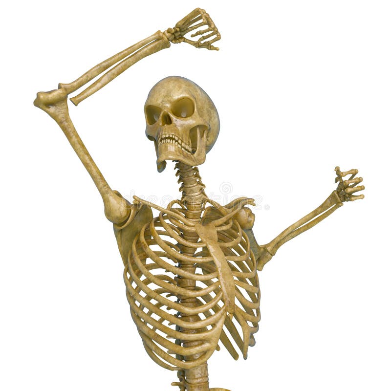 Skeleton System Funny Stock Illustrations – 127 Skeleton System Funny ...