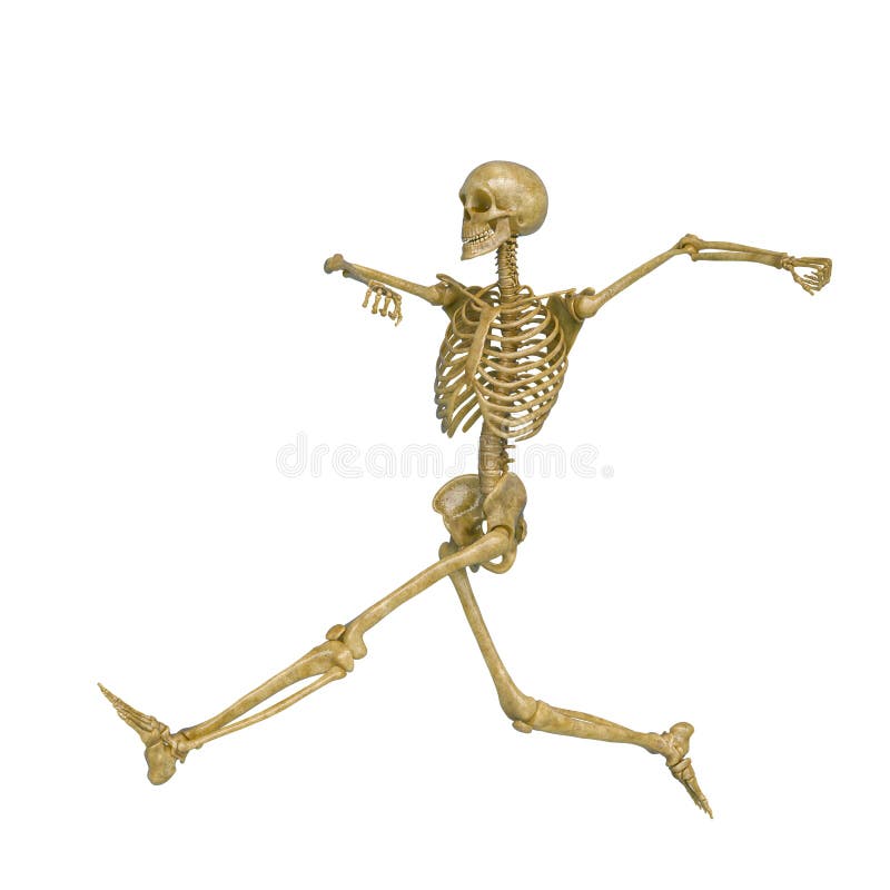 Skeletal System Funny Stock Illustrations – 102 Skeletal System Funny ...