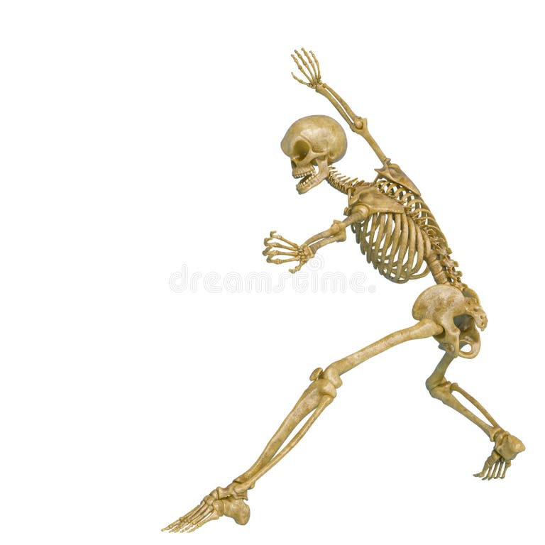 Surprise Skeleton Stock Illustrations – 322 Surprise Skeleton Stock ...