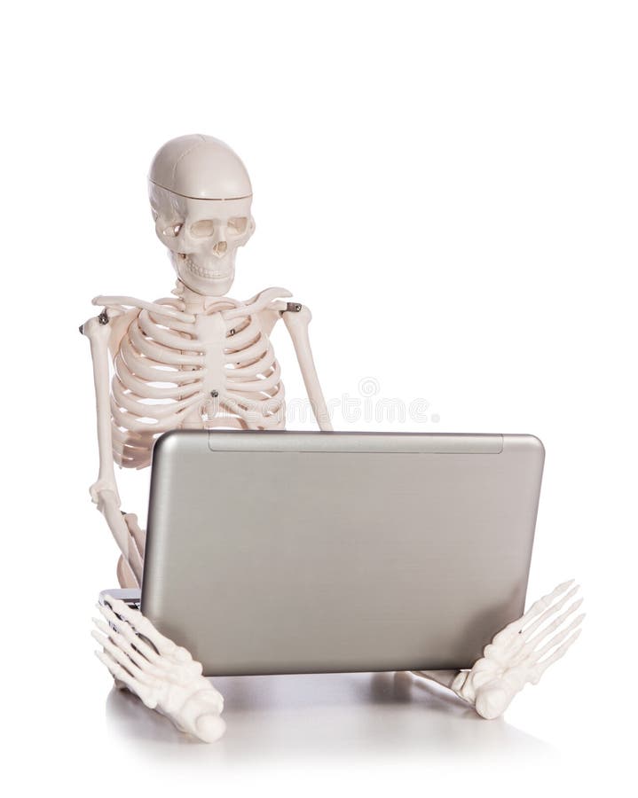 Skeleton working on laptop stock image. Image of hacker - 29057895