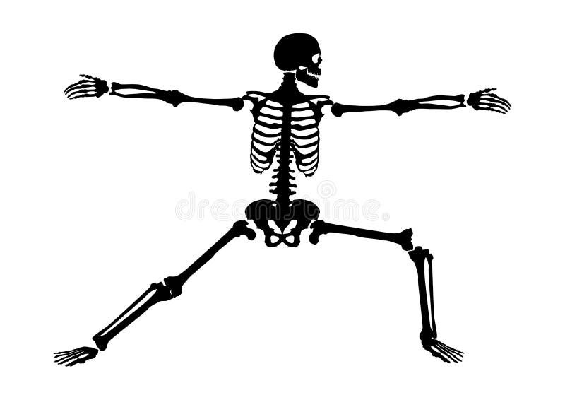 Skeleton Yoga Stock Illustrations – 228 Skeleton Yoga Stock ...