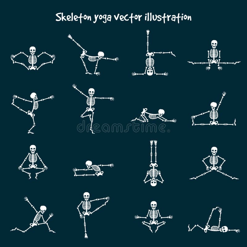 Skeleton Yoga Vector Stock Illustrations – 95 Skeleton Yoga Vector ...