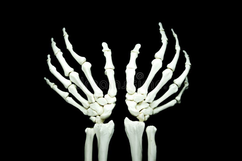 Skeletone stock photo. Image of gravestone, hands, health - 101178760