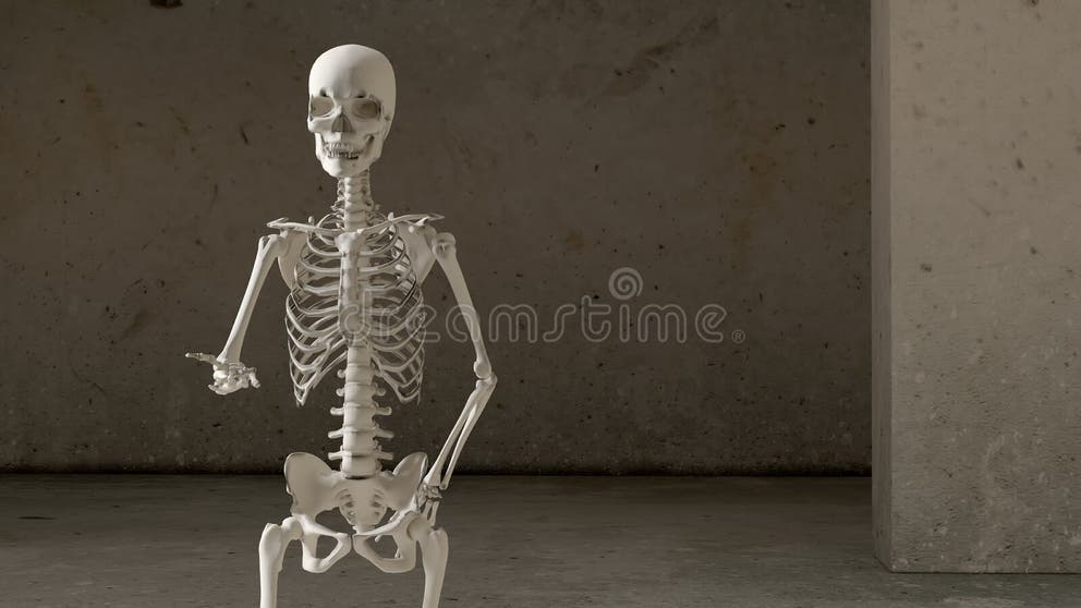 Skeletones stock illustration. Illustration of male, dead - 69313140