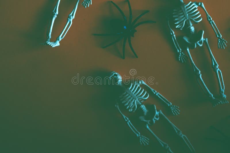 Skeletons and Spider Background Stock Image - Image of pattern ...