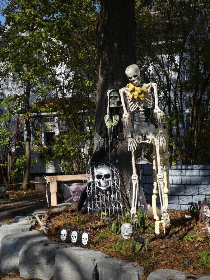 Halloween Skeleton editorial stock photo. Image of scary - 200448573