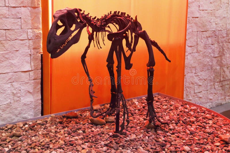 Knochen Des Dinosauriers Im Sand Redaktionelles Stockfotografie - Bild ...