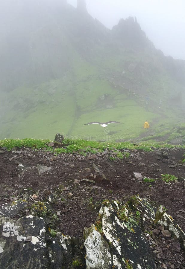 Skellig Skellig Michael Felsen, Irland Stockfoto - Bild von ...
