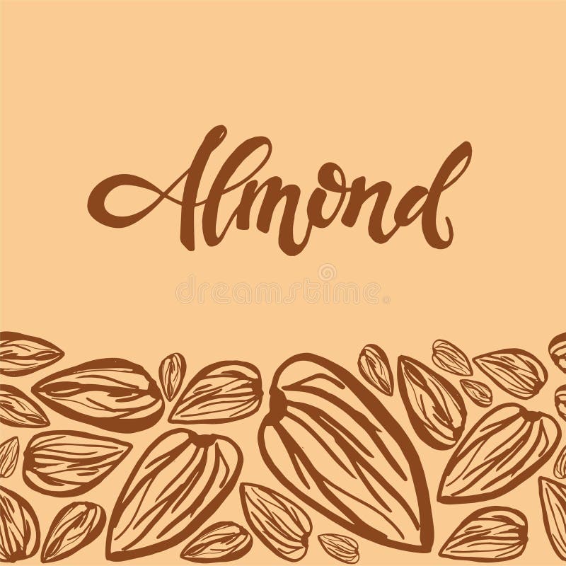 Sketch Almonds Pattern On Light Background Stock Illustration