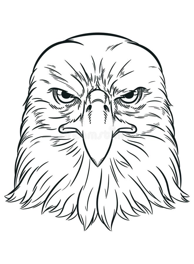 Eagle Face Line Drawing Stock Illustrations – 607 Eagle Face Line ...