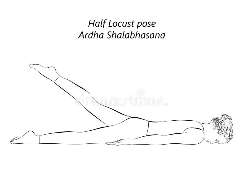 Ardha Shalabhasana Stock Illustrations 14 Ardha Shalabhasana Stock Illustrations Vectors