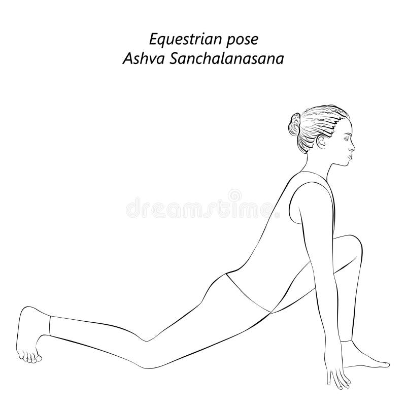 Sanchalanasana Pose Stock Illustrations – 34 Sanchalanasana Pose Stock ...