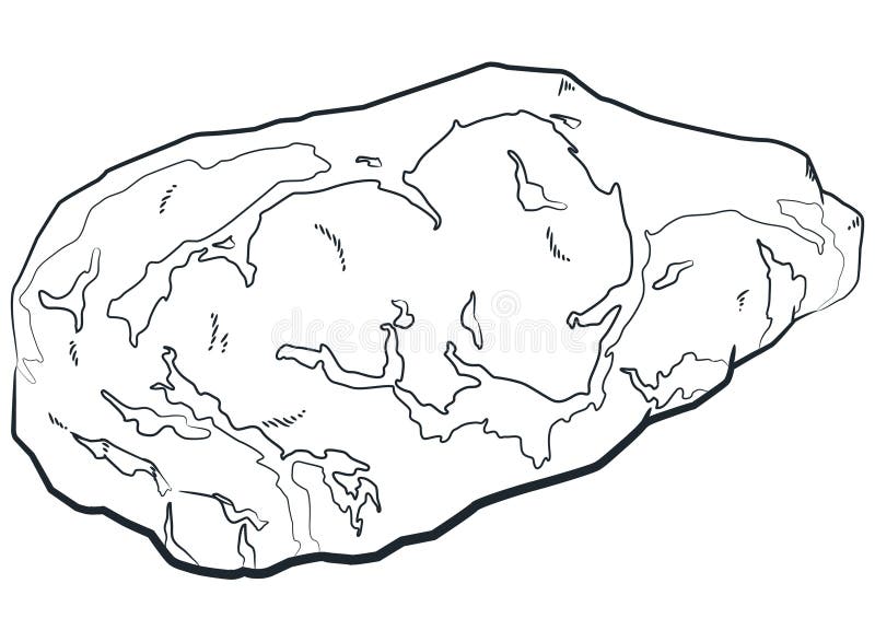 Beef Cut of Meat . Butcher Diagram, Scheme Stock Illustration ...