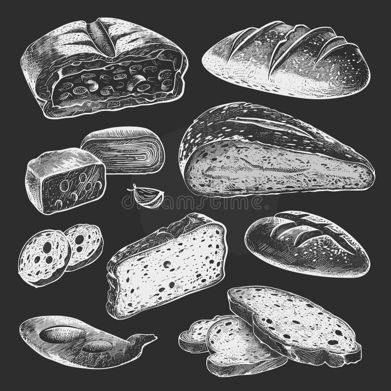 Sketch Bread. Vector Illustration of a Set of Different Types of Bread ...