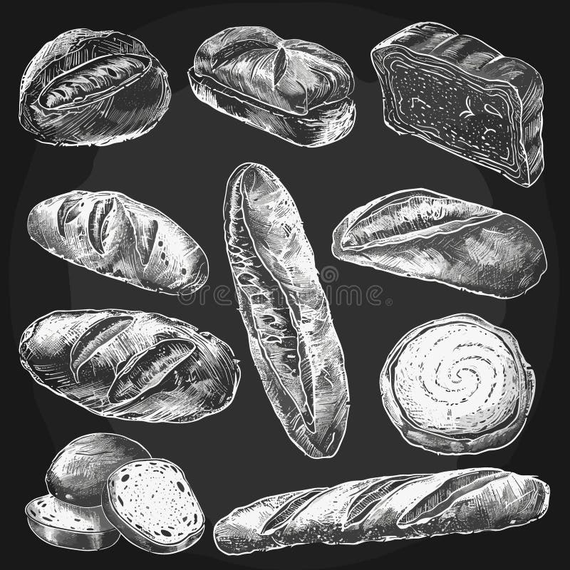 Sketch Bread. Vector Illustration of a Set of Different Types of Bread ...