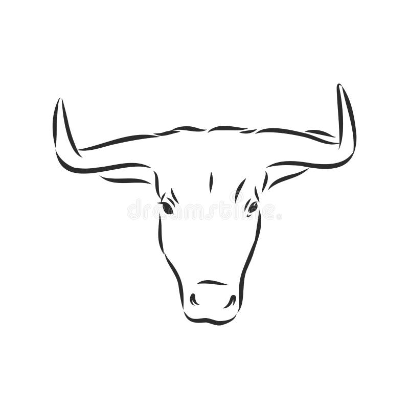 Sketch Bull. Vector Hand Drawn Illustration. Side View. Bull Vector ...