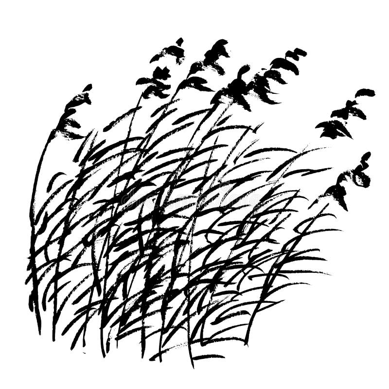 Bulrush Stock Illustrations – 3,082 Bulrush Stock Illustrations ...
