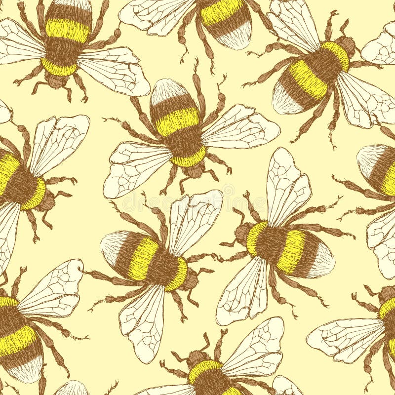 Sketch Bumble Bee in Vintage Style Stock Illustration - Illustration of ...