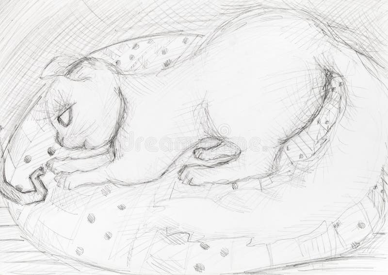 Sketch of cat on mat stock illustration. Illustration of educational ...