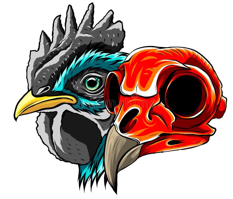 Sketch Chicken Skull Vector and Artwork Illustration Stock Vector - Illustration of domestic ...