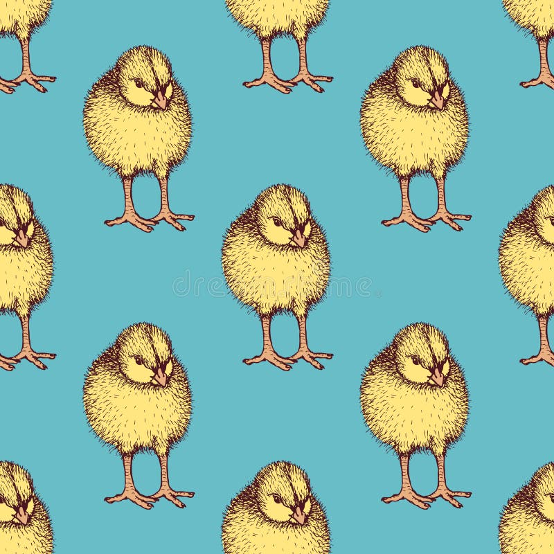 Sketch chiken pattern stock vector. Illustration of holiday - 65168595