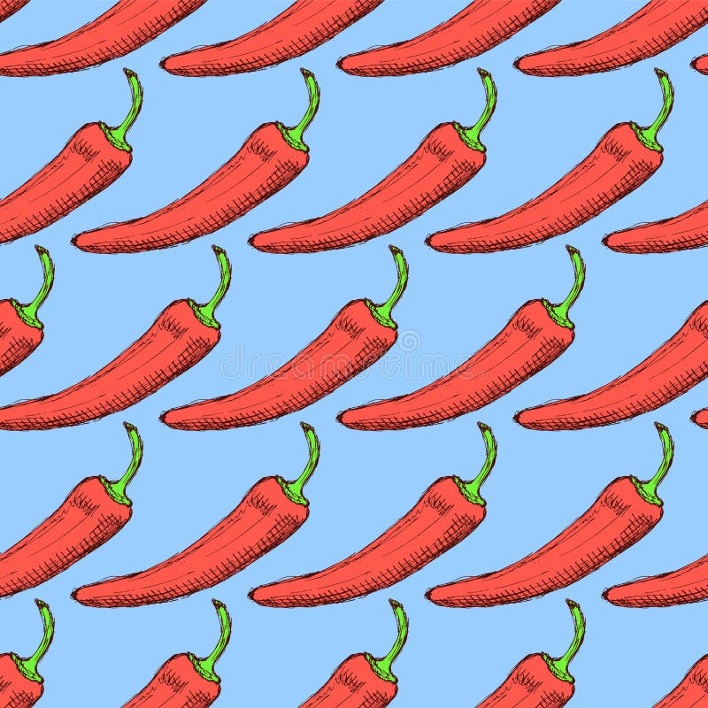 Sketch Chilli Pepper in Vintage Style Stock Vector - Illustration of ...
