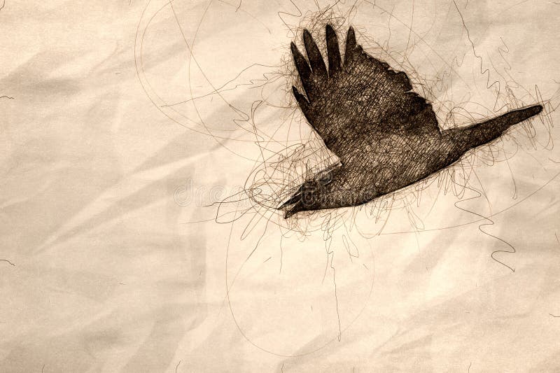 Sketch of a Common Black Raven Flying in a Blue Sky Stock Photo - Image ...