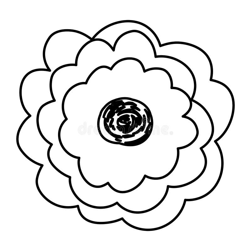 Sketch Contour of Hand Drawing Flower with Several Petals Stock Vector ...
