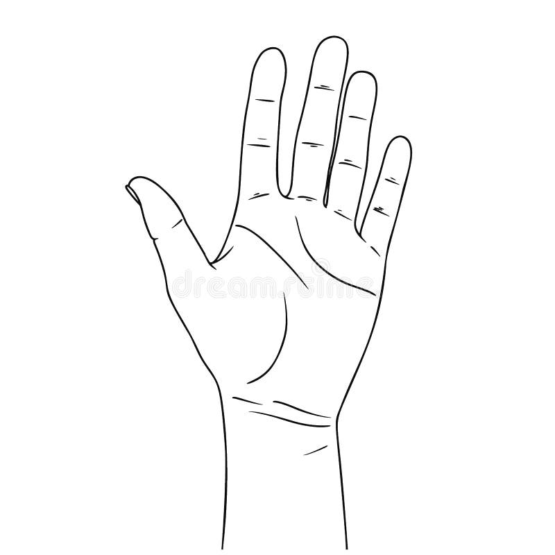 Sketch of Counting Hand Isolated on White Background. Open Palm Showing ...