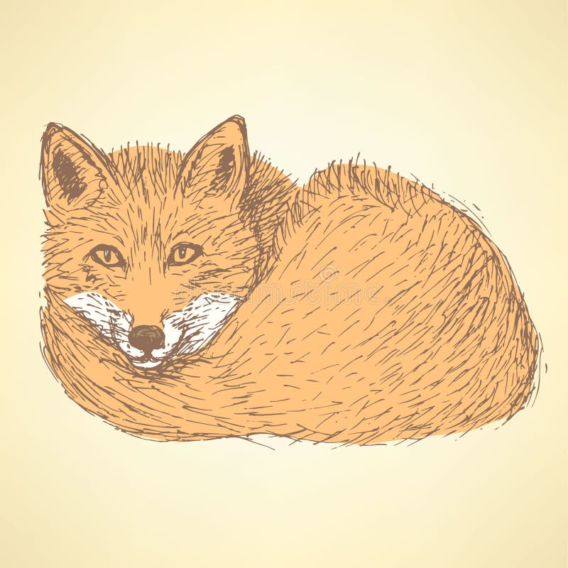 Sketch Cute Fox in Vintage Style Stock Illustration - Illustration of ...