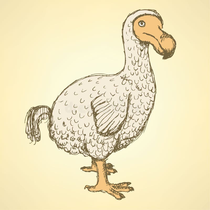 Dodo bird stock illustration. Illustration of prehistoric - 15274598