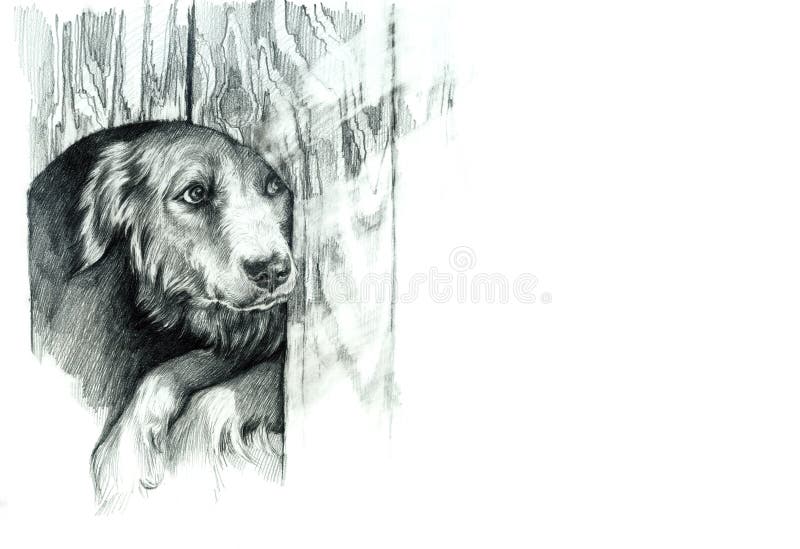 Sketch dog hand drawing stock illustration. Illustration of rough ...