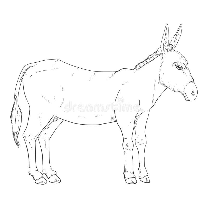 Ink Donkey Stock Illustrations – 436 Ink Donkey Stock Illustrations ...