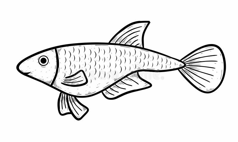 Sketch Fish Cartoon Isolated on White Stock Illustration - Illustration ...