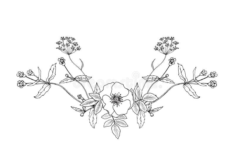 Sketch flower composition stock vector. Illustration of spring - 63407801