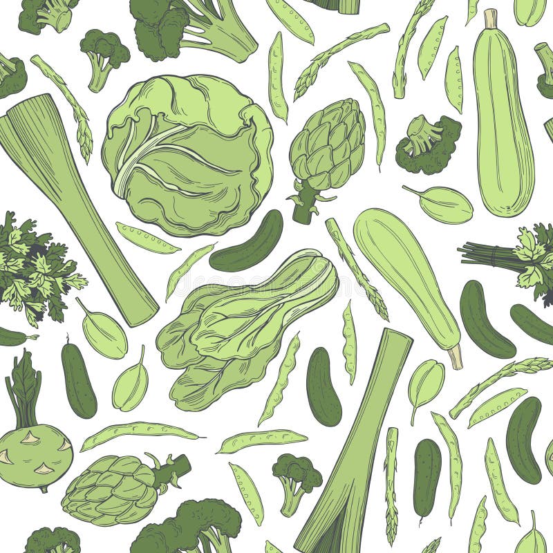 Sketch Green Vegetables. Vector Pattern Stock Vector - Illustration of ...